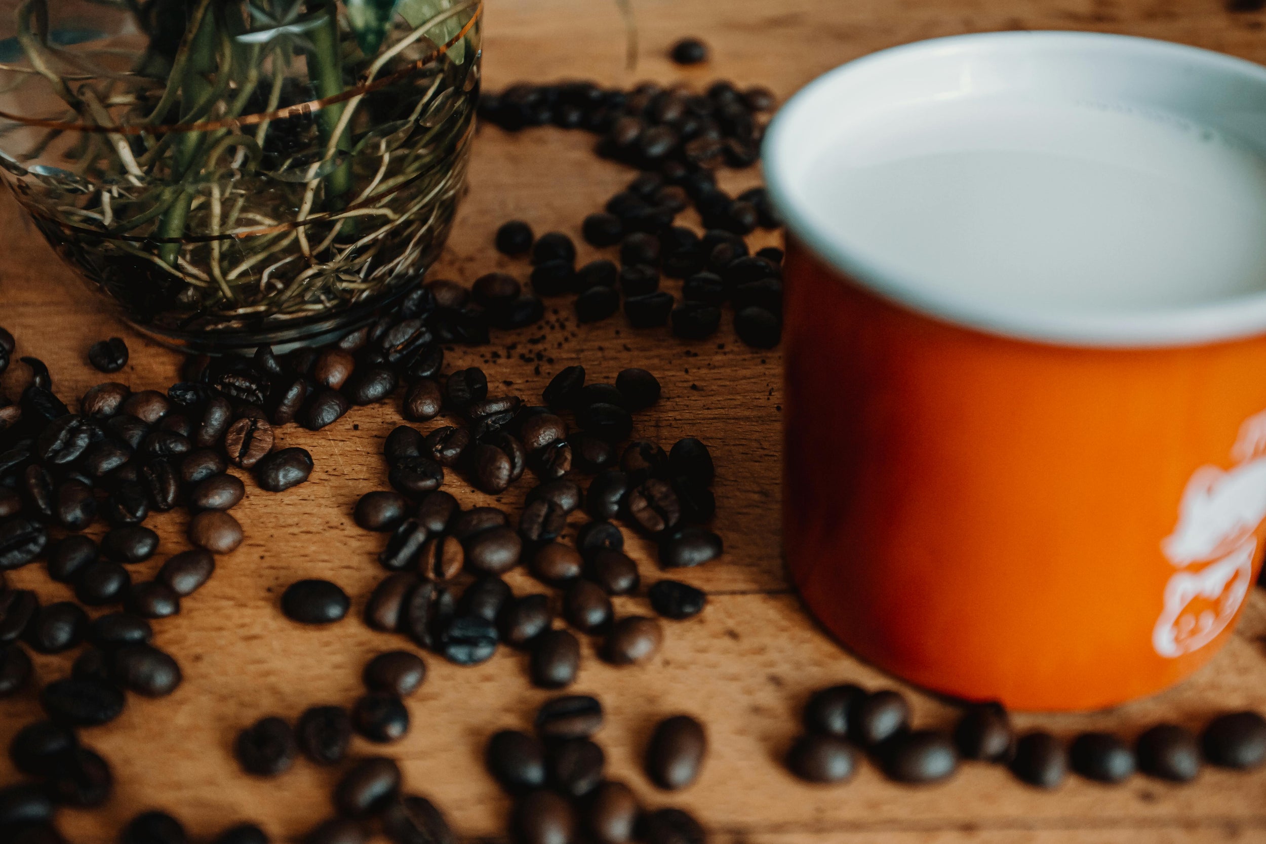 How to Choose the Right Coffee Roast: Medium vs. Dark vs. French ...